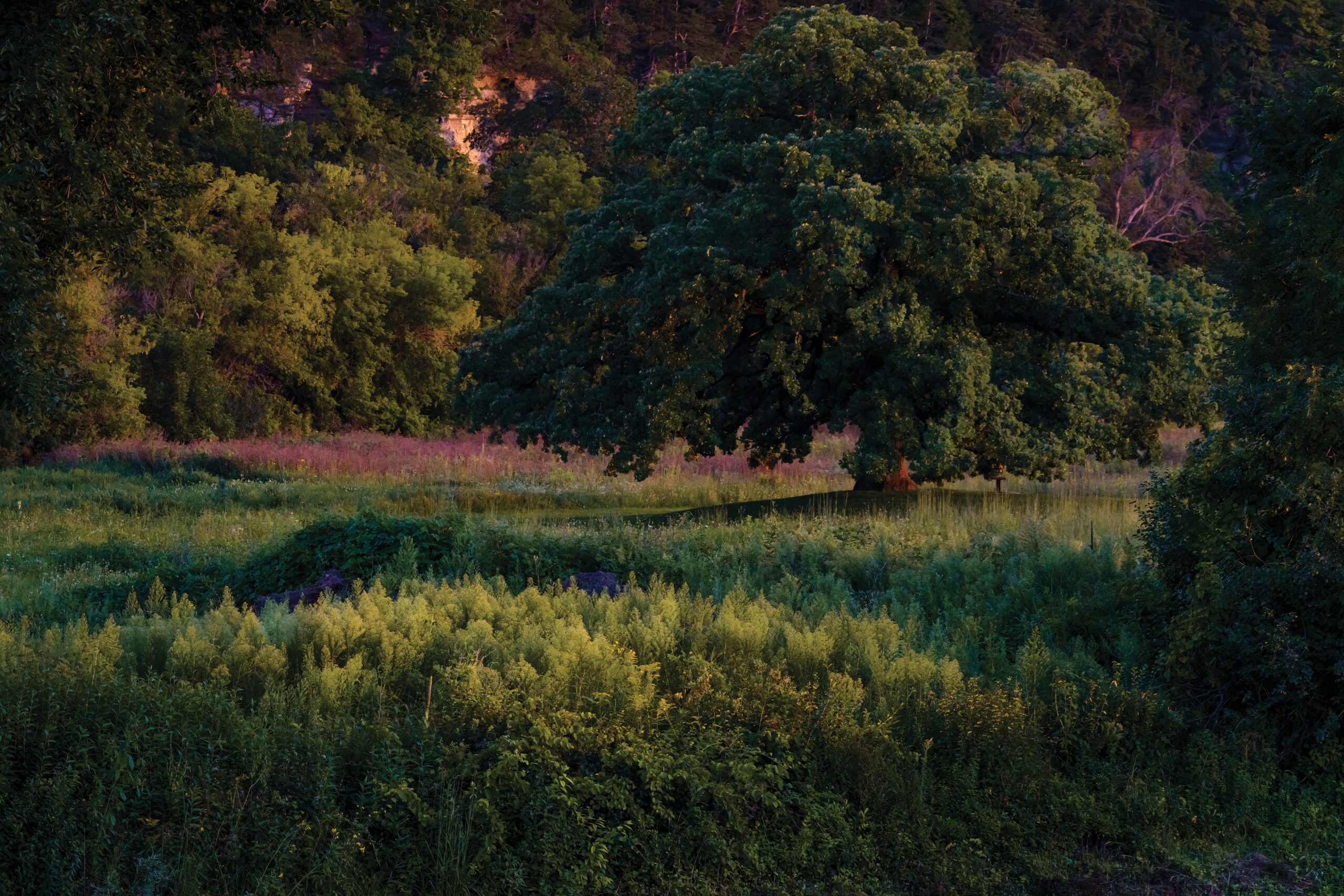 Q&A with Charlie Langton: Decorah Community Photographer » I Love ...